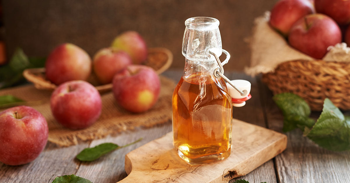 The Benefits of Apple Cider Vinegar for Dogs – Snaffle Paws